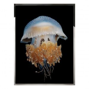 Euriale Tablo | Visionnaire Turkey